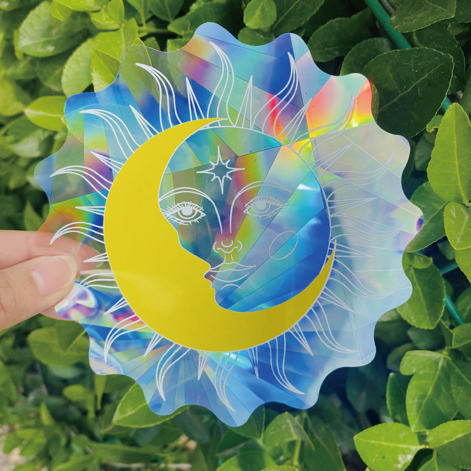 Bird Deterrent Window Decals Window Sticker Window Clings Removable Sun ...