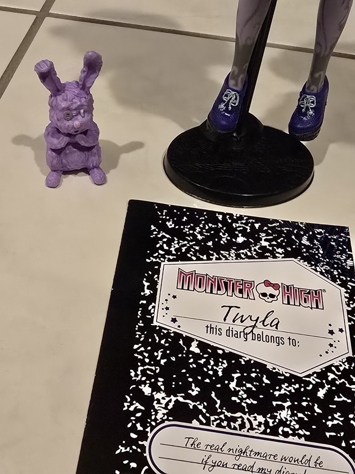 G1 Mattel Monster High 13 Wishes TWYLA & BOOGEYMAN Doll *Complete* | eBay