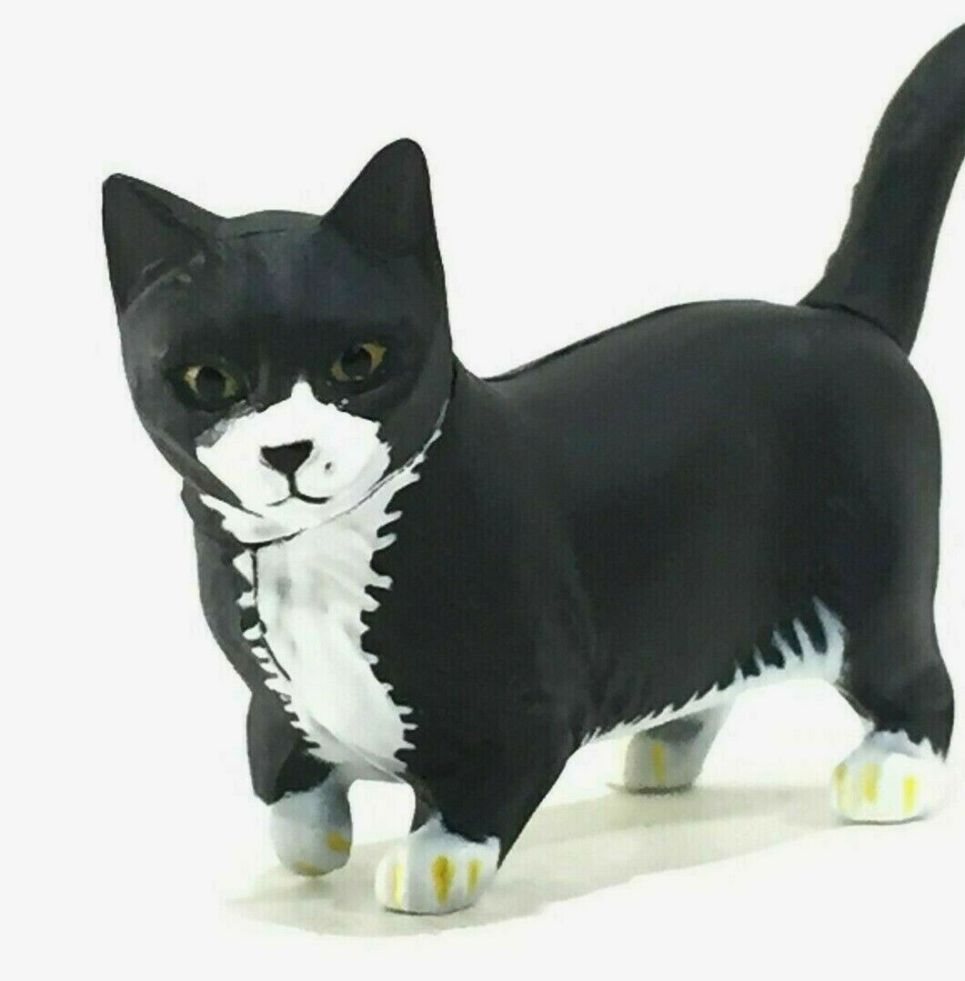 Schwarz Weiße Munchkin Katze