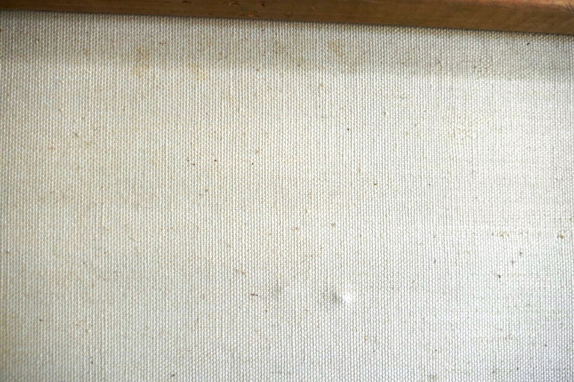 Artist Bill Steeves Forest of Trees Oil Painting on Canvas Fredrix 18 ...