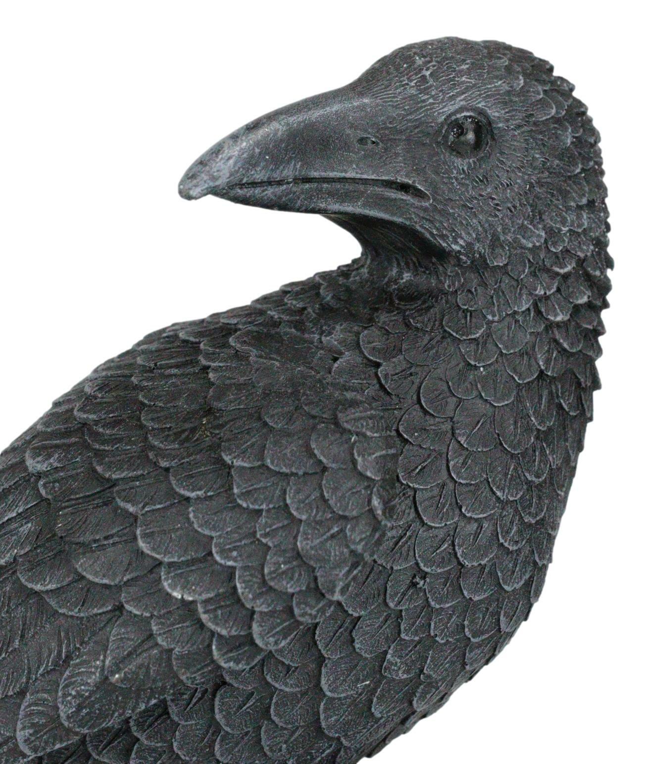 Large Dark Raven on Large Rock Platform Resin Statue Figurine 8" Height ...