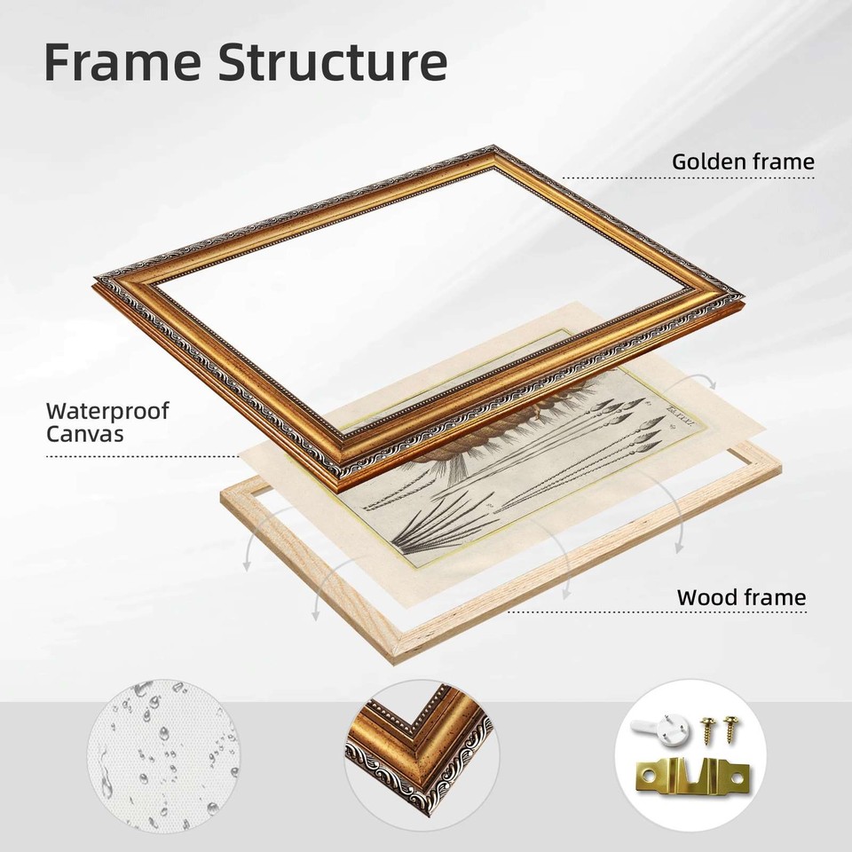 Insect Larva Scientific Illustration Canvas Oil Paintings Reproduction ...