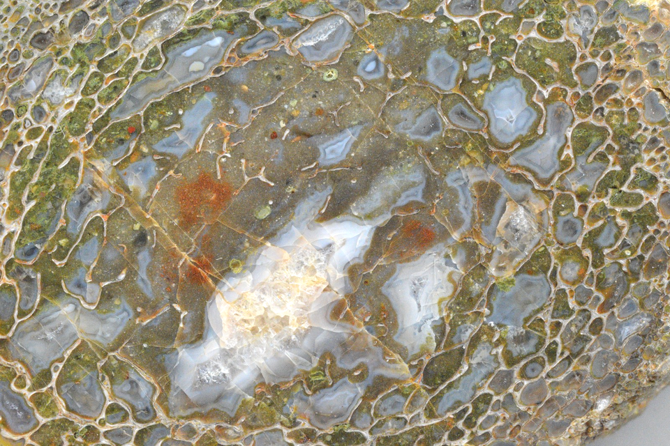Green Agatized Dinosaur Bone, Utah, Polished | eBay