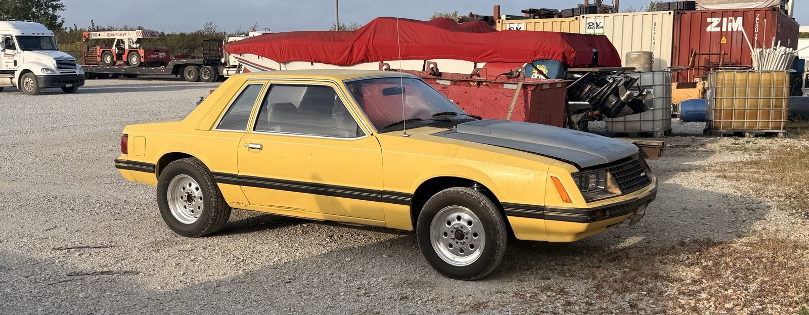 1980 Ford Mustang | Timeless Rides