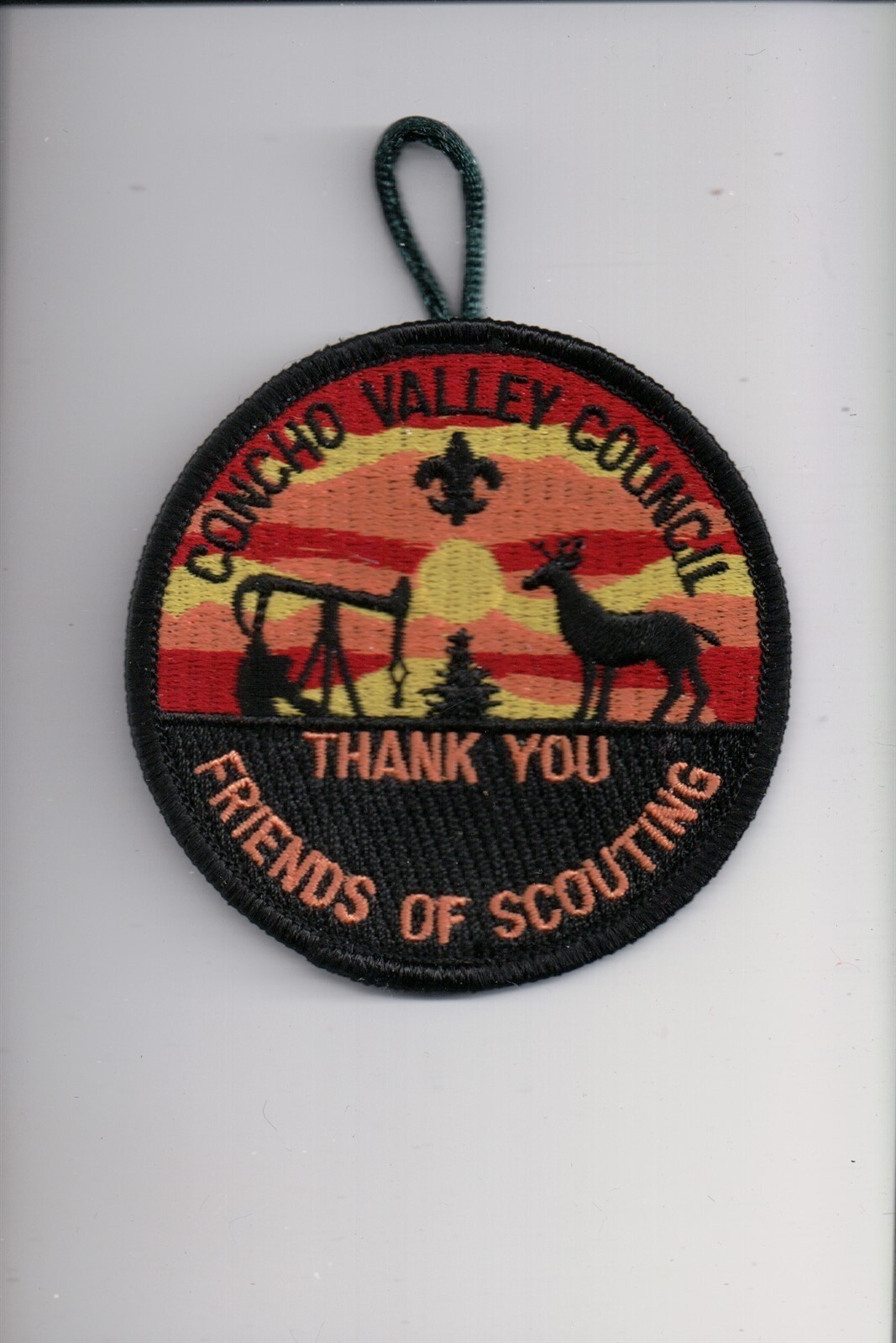 Concho Valley Council Thank You Friends Of Scouting FOS patch | eBay