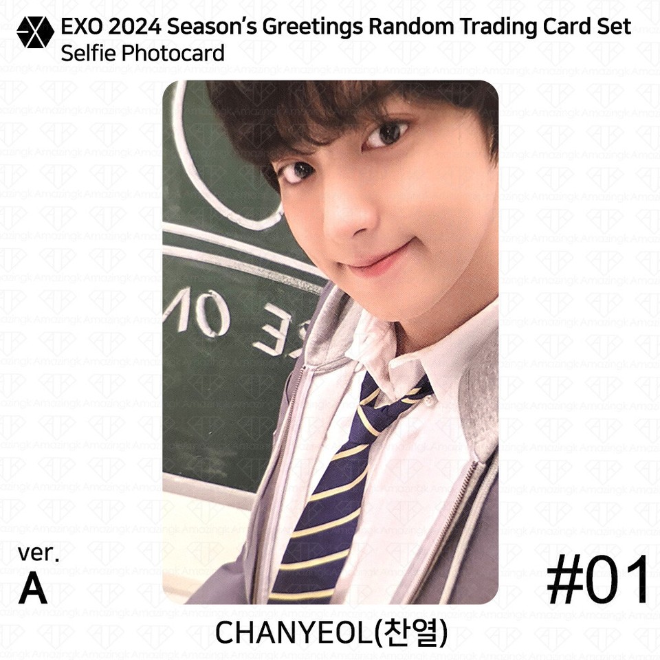 EXO 2024 Season's Greetings Random Trading Card Set Concept Selfie ...