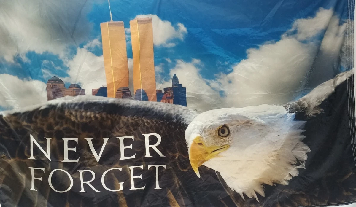 9 11 Eagle