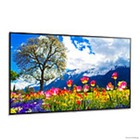Sharp NEC Monitor 98" Ultra High Definition Professional Monitor - 98 ...