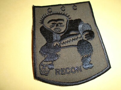 Vietnam War Subdued Patch US 5th Special Forces Grp THE HULK MACV-SOG ...
