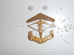2026 Australian Army Training Team AATTV Vietnam Beret Badge Australia ...