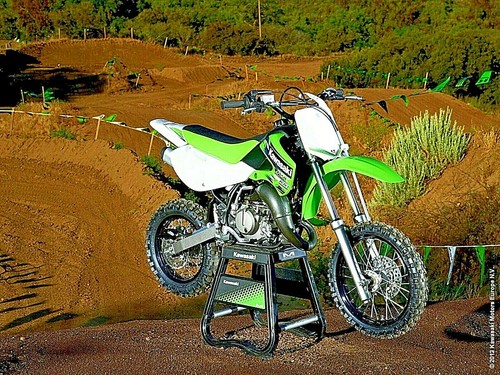KAWASAKI KX60 KX65 SUZUKI RM65 RM KX 65 60 VFORCE 3 RACING REED CAGE ...