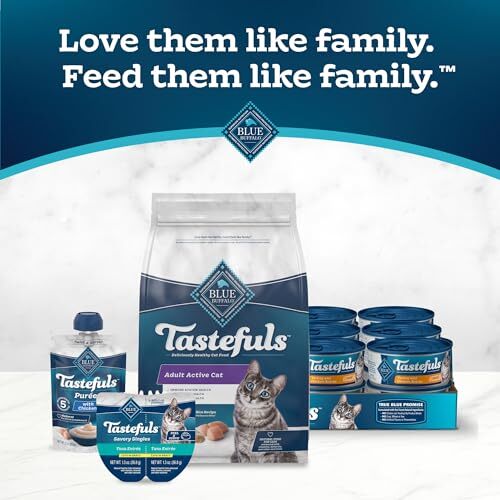 Blue Buffalo Tastefuls Dry Cat Food 7lb Real Chicken Active Lifestyle ...