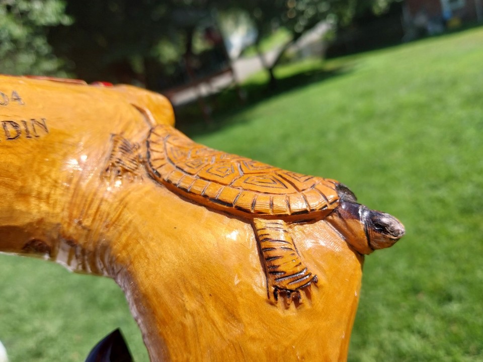 Most Unique Boy Scout Walking Cane Featuring Turtles | eBay