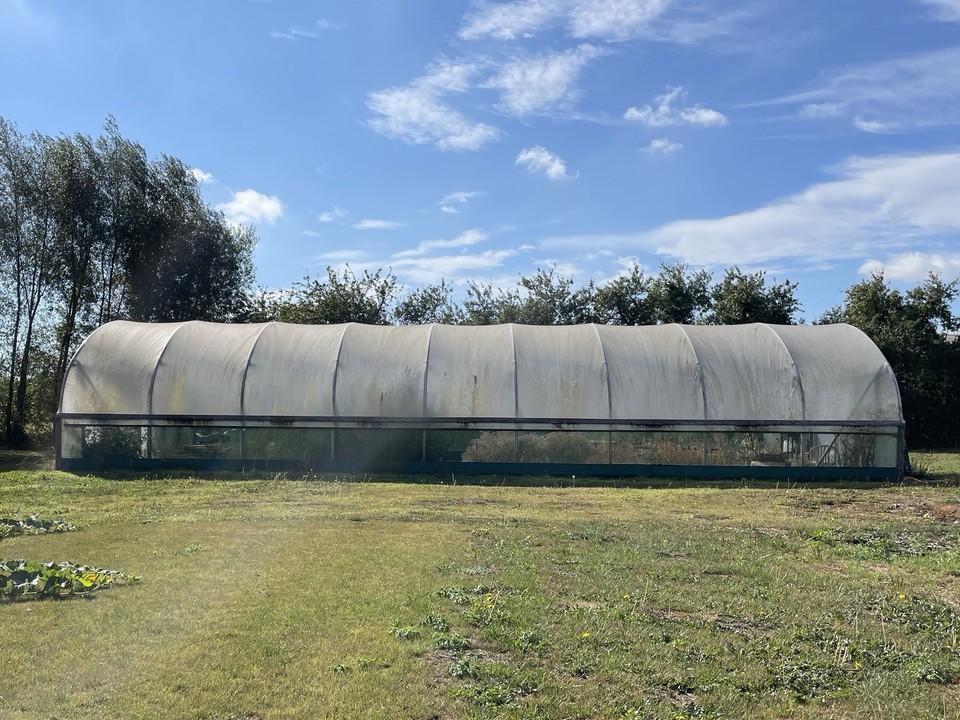 Strong Polytunnel With Roll-up Sides | eBay UK