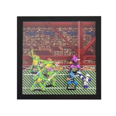 Teenage Mutant Ninja Turtles Frame