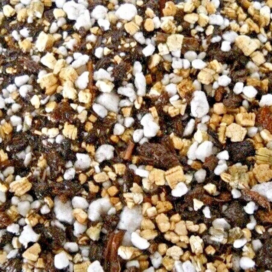 ORGANIC Potting Soil Mix - Peat Moss 50% - Perlite 25% - Vermiculite 25 ...