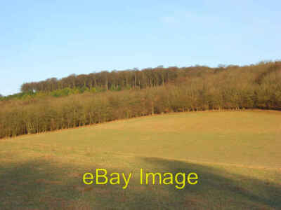 Photo 6x4 Shotridge Wood Christmas Common Here beeches stand above the ...