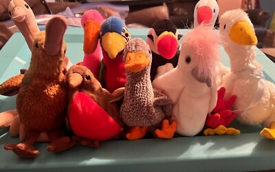 Ty Beanie Babies Birds Lot | eBay