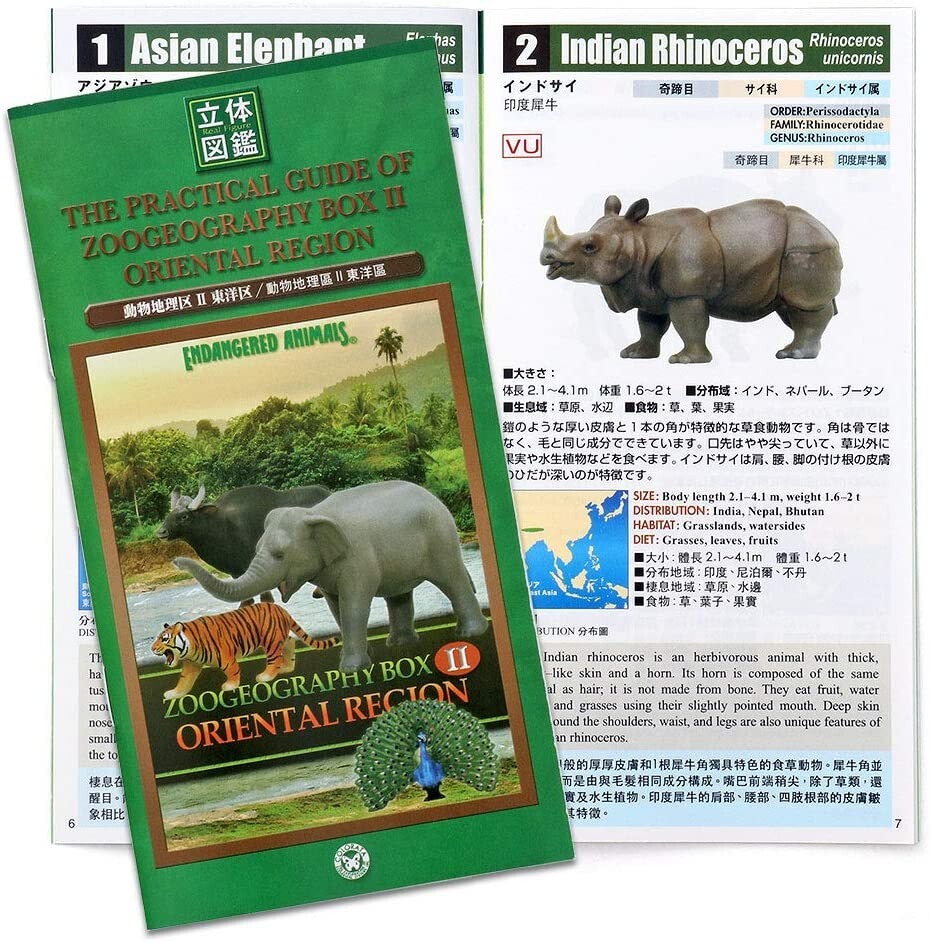 Colorata Endangered Animals Zoogeography Box Oriental Region Real ...