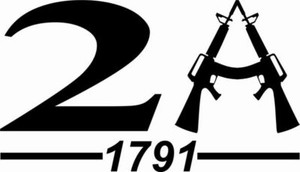 2nd Amendment Rights 1791 Vinyl Decal Logo Car Window Sticker phone ...