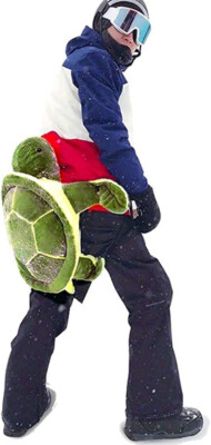 Protective Gear for Skiing Skating Snowboarding Turtle Tortoise Cushion ...