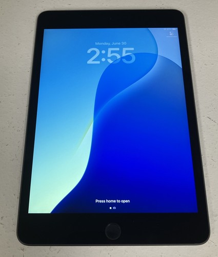 Apple iPad Mini 5th Gen A2133 64GB WiFi ONLY GRAY 7.9" | eBay