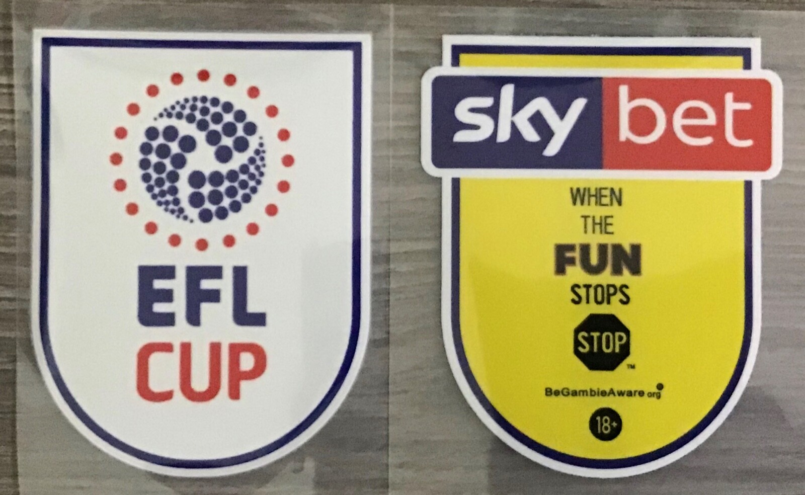 EFL Bristol City League 1 Champions Sky Bet Patch Badge Parche Remendo ...