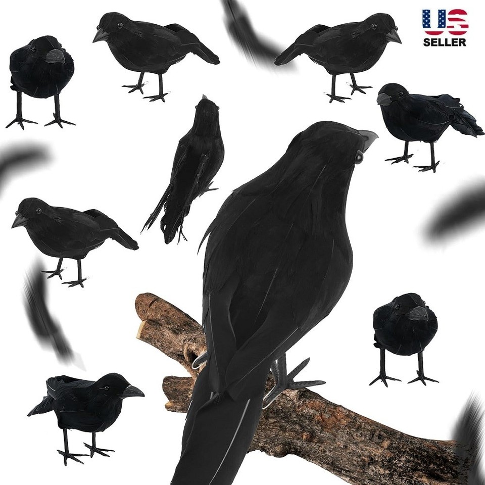 10× Black Lifesize Raven Movie Prop Fake Crow Halloween Fake Bird ...