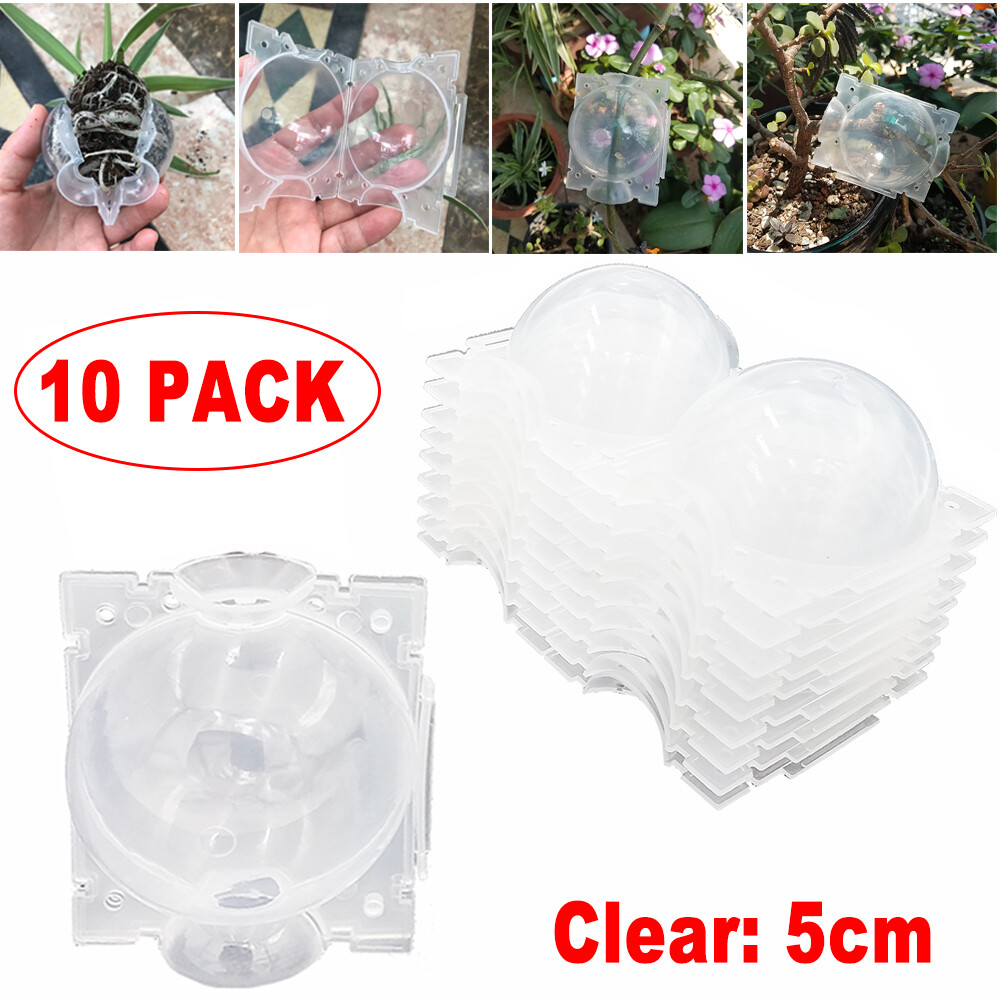 100 Clear Plant Rooting Device Grow Graft Box High Pressure Propagation ...
