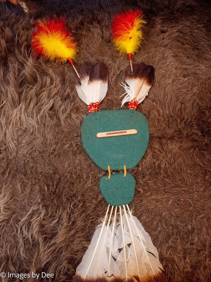 Sioux Chicken Dance Bustle Pow Wow Regalia | eBay