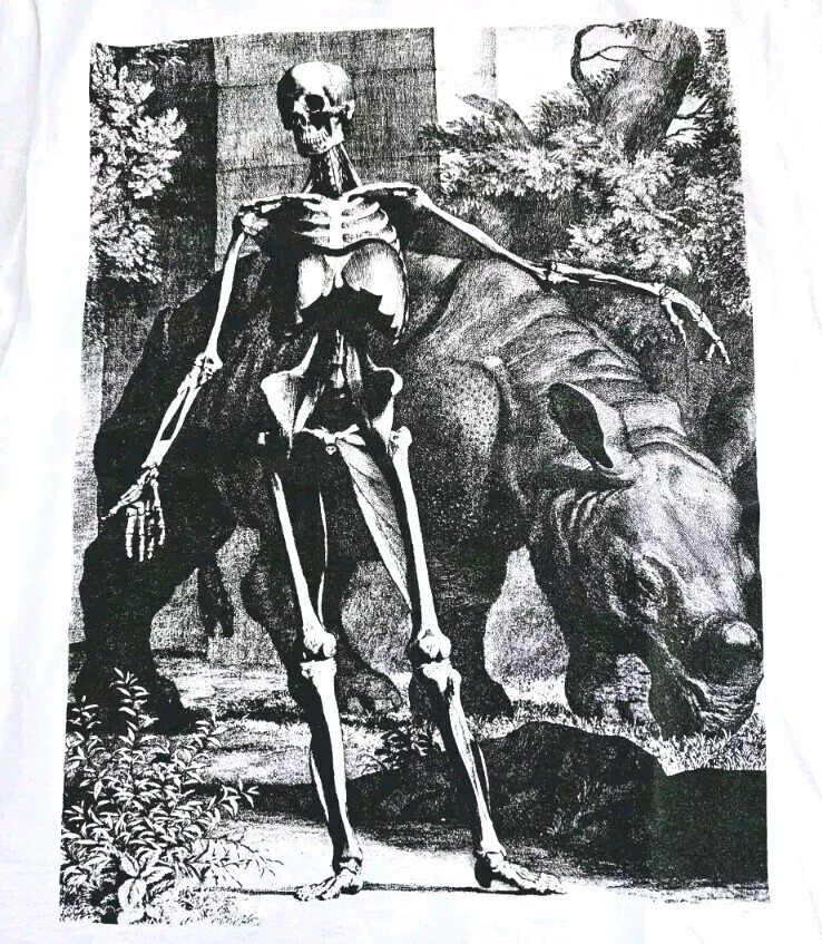 Vintage 90s Anatomy Skeleton with Rhinoceros Jan Wand… - Gem