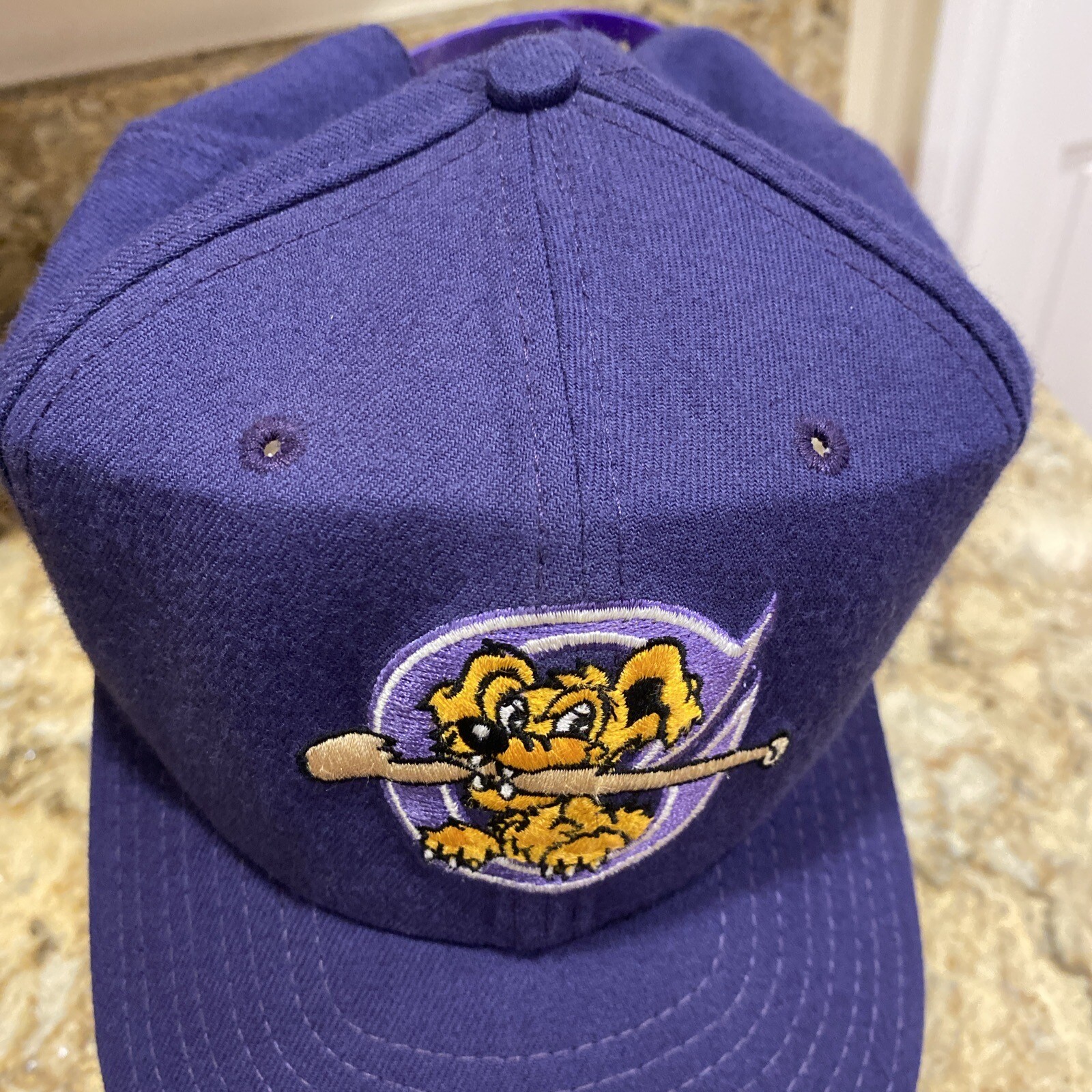 Vintage Charleston Riverdogs Hat Snapback New Era Made In USA Minor ...