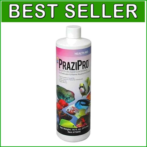 Prazipro 16oz Liquid Treatment for Healthy Fish - Targets Flukes ...