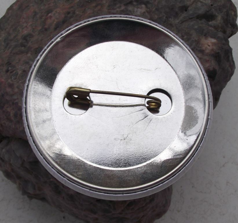 1995 Prazske Pivovary General Meeting Czechoslovakia Beer Lager Pin ...