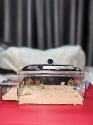 Ant tank/Ant farm - Nest N03 - Full Option | eBay
