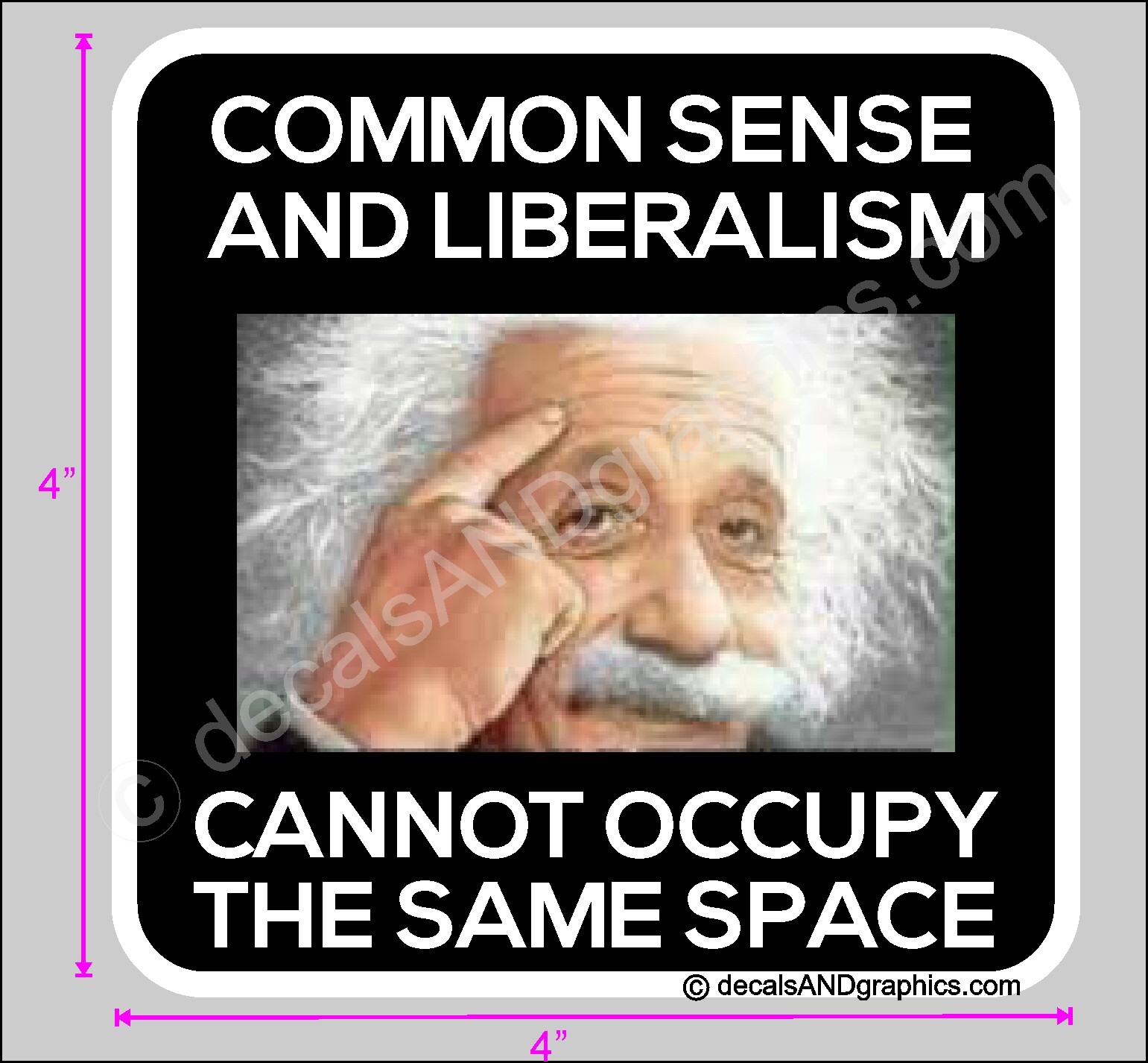 TRUMP 2020 STICKER COMMON SENSE AND LIBERALISM DECAL WINDOW BUMPER ...