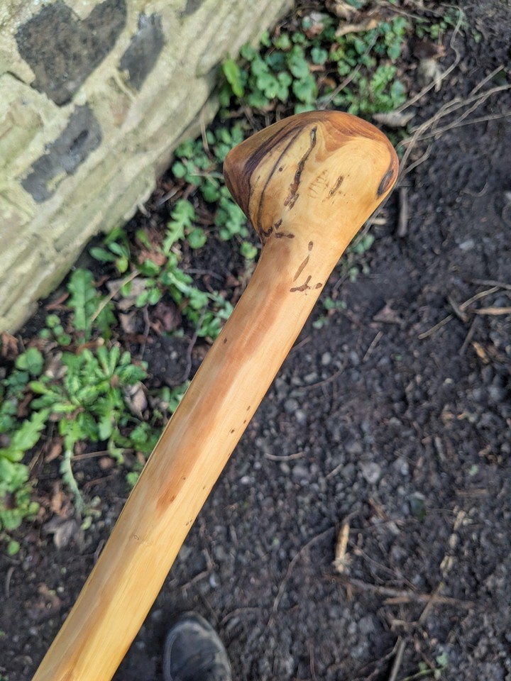 Yew Shillelagh Wood Walking Stick Unique Beautiful Cane Knobkerrie ...