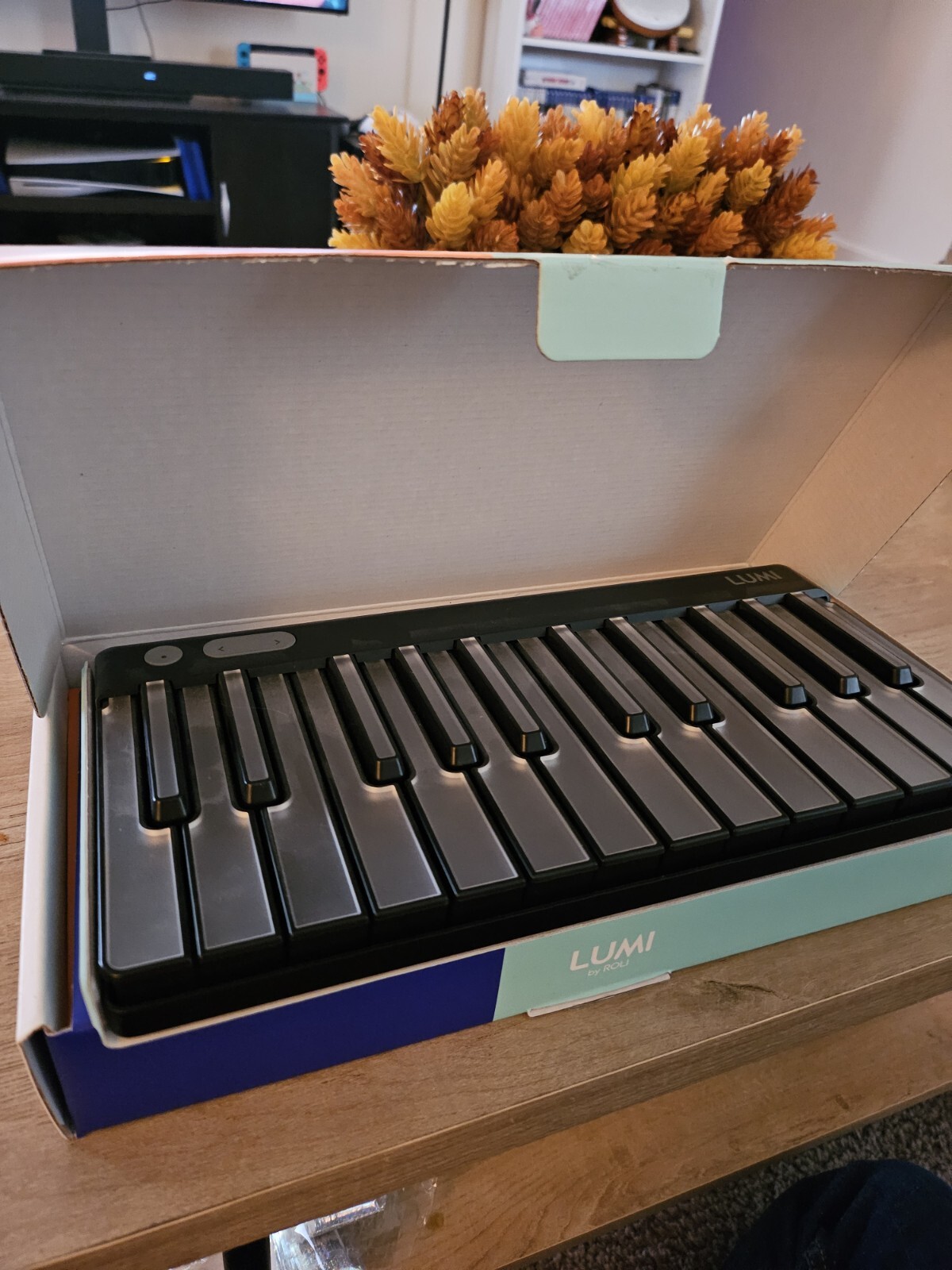 Lumi Keys by ROLI Portable Illuminating Midi Keyboard W/ Snapcase for ...