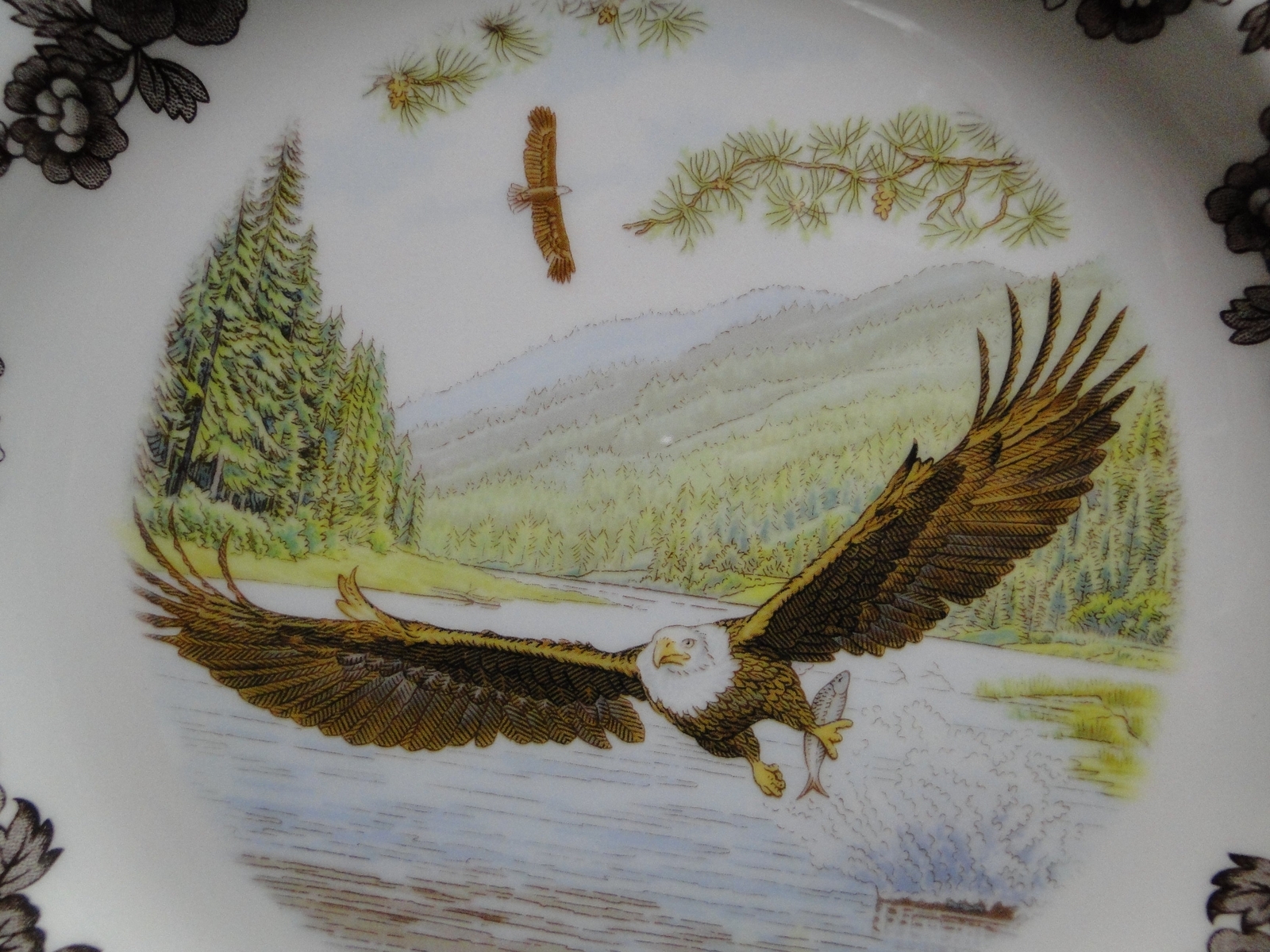 Spode Woodland Birds of Prey Spring Bald Eagle: Dinner Plate (s), 10 1/ ...