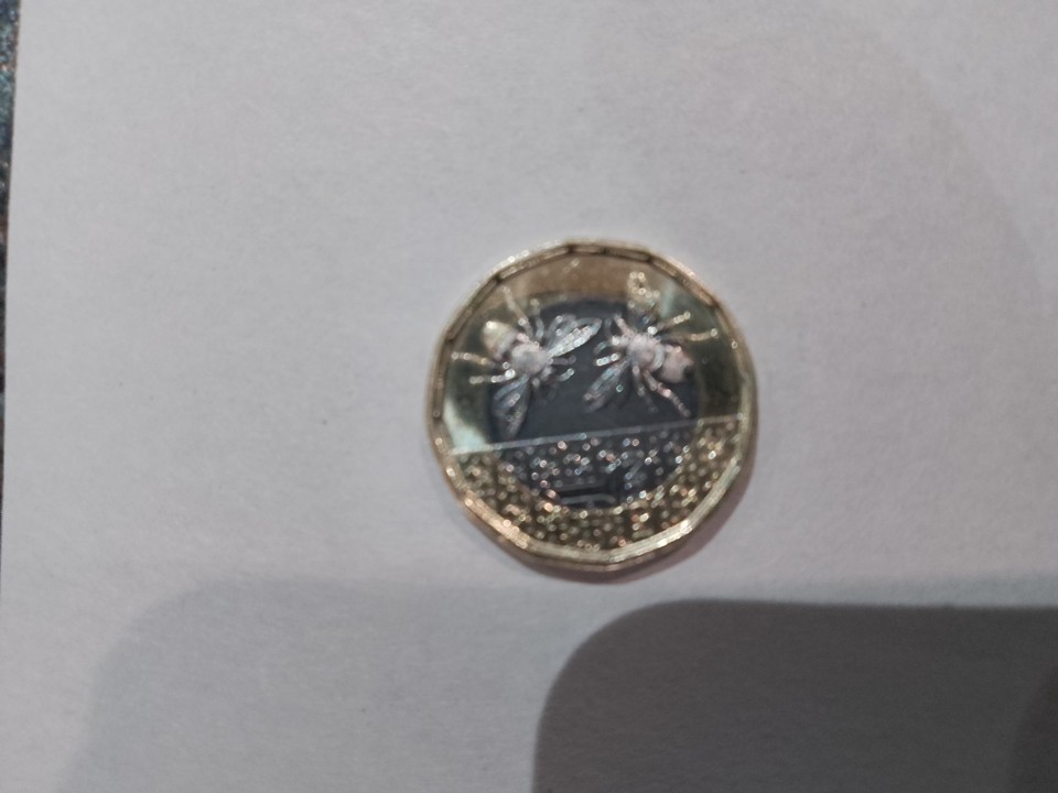 2025 £1 One Pound Coin Rare Low Mintage King Charles Bees Coin | eBay UK