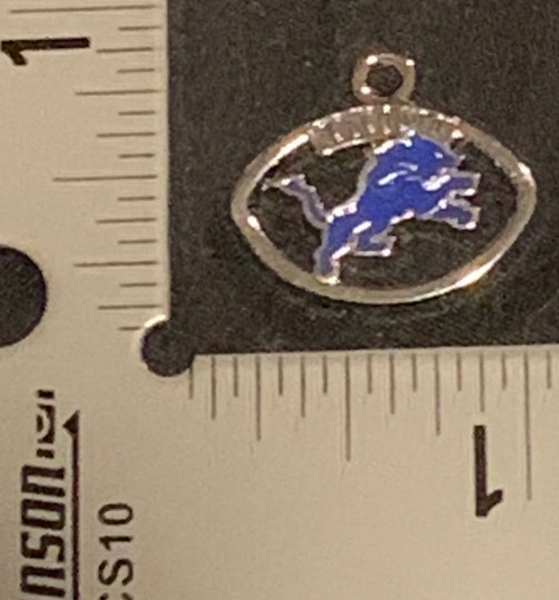 20pcs - DETROIT LIONS - NFL - DANGLE CHARM PENDANT | eBay