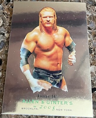 TRIPLE H "HHH" CHROME 2008 WWE TOPPS HERITAGE ALLEN & GINTER SUPERSTAR ...