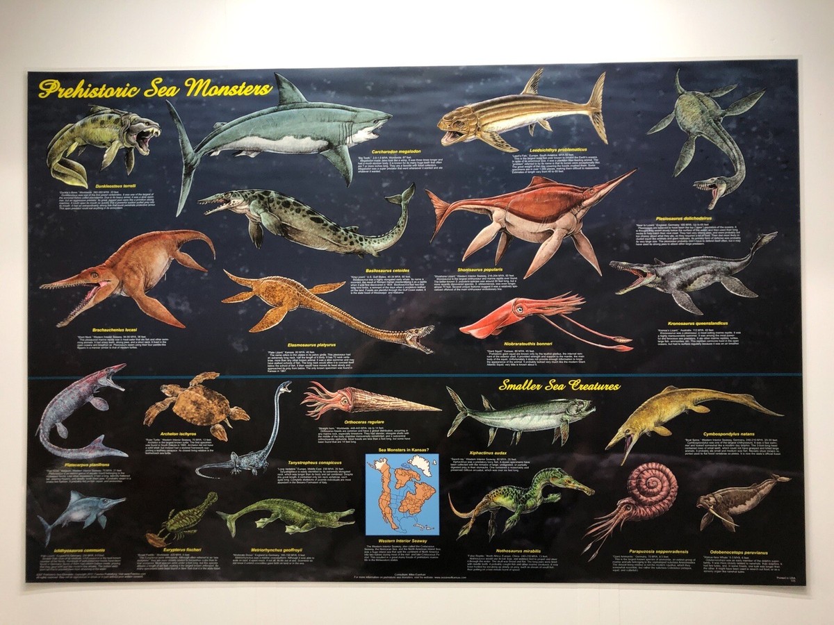 Giant Prehistoric Sea Creatures 10 Incredible Prehistoric Sea