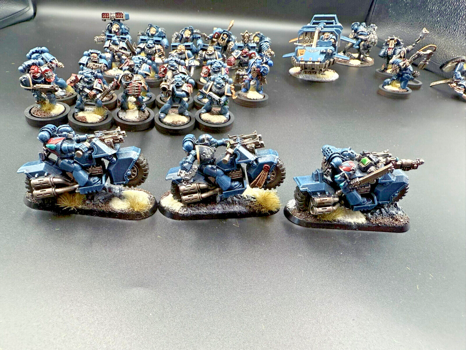 FULLY PAINTED ULTRAMARINES ARMY PAINT SPACE MARINE WARHAMMER 40K | eBay