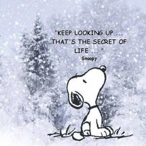 Happy Thrifty Nifty | eBay Stores