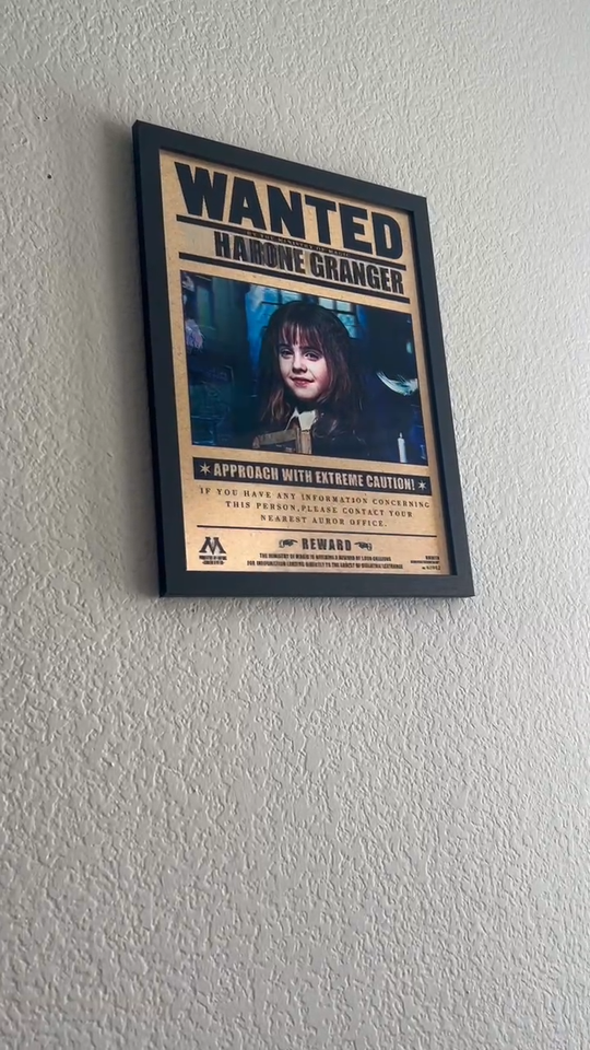 3D Motion Effect Lenticular Art Poster- Harry Potter Home Decoration ...