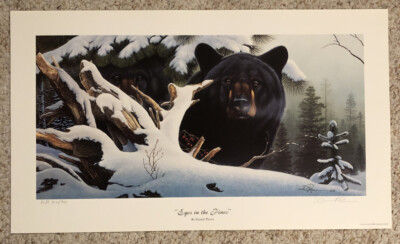 Daniel Renn Pierce "EYES IN THE PINES"-Black Bears-Wildlife-Art ...