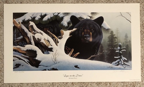 Daniel Renn Pierce "EYES IN THE PINES"-Black Bears-Wildlife-Art ...
