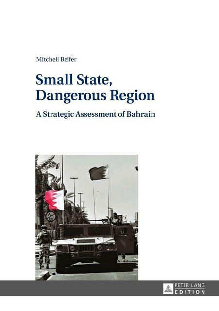 Small State, Dangerous Region von Mitchell Belfer (2013, Gebundene ...