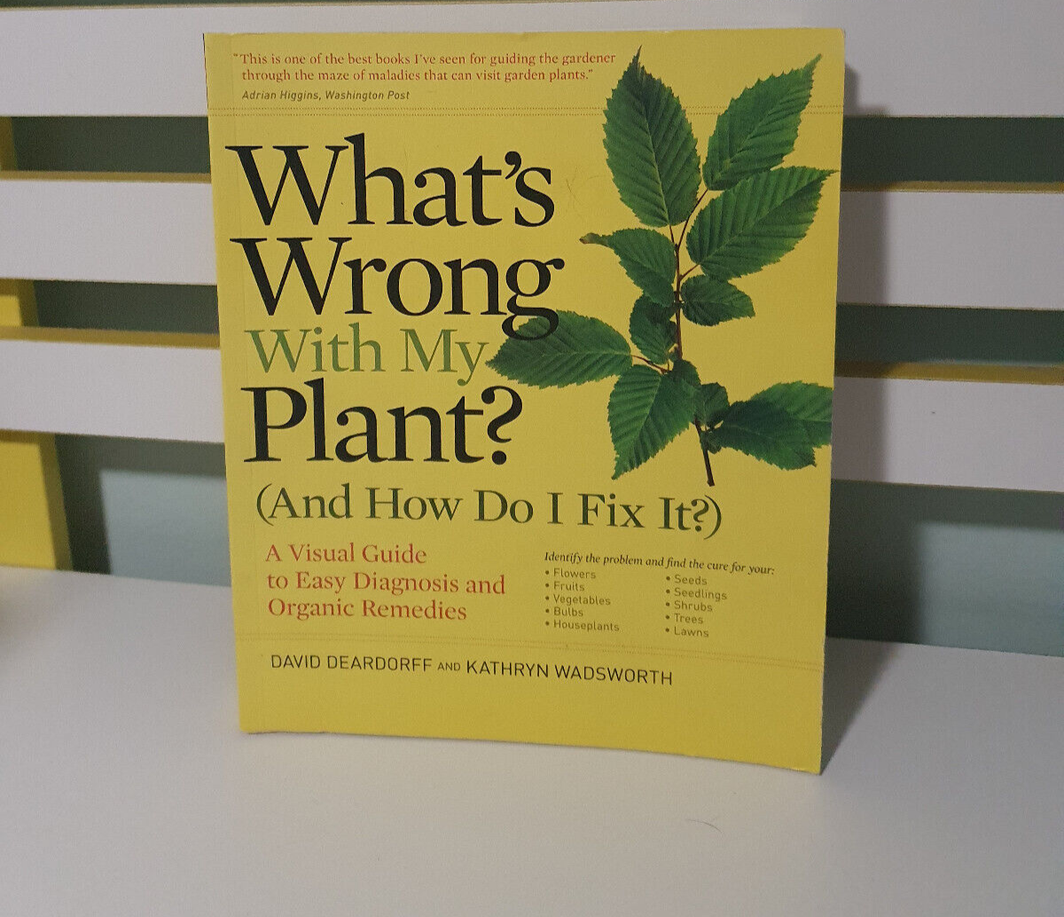 Whats Wrong With My Plant Deardorff And Wadsworth Is Cannabis The New